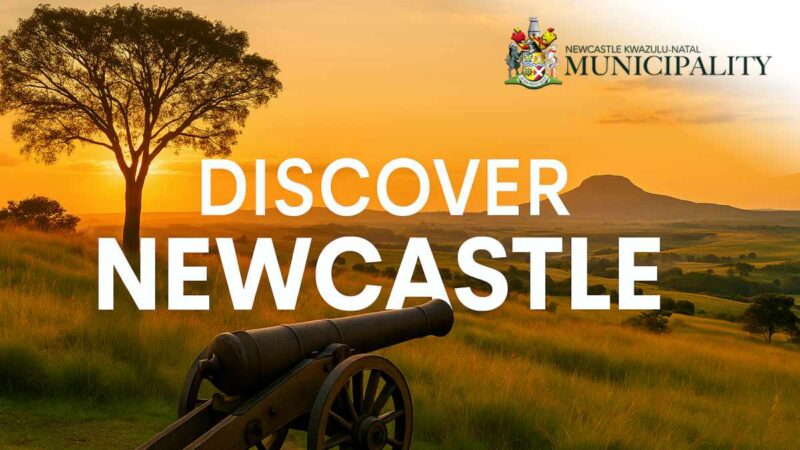 Phelophepha Train Rolls into Newcastle: Here's What You Need to Know